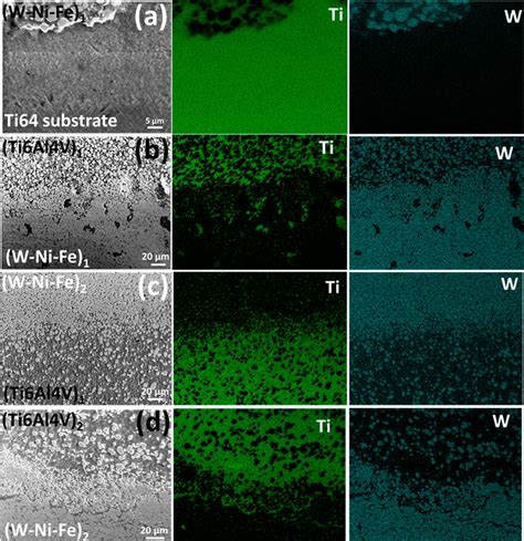 Eds Mapping At The Interfaces Of The Ded Processed Ti6al4v W7ni3fe