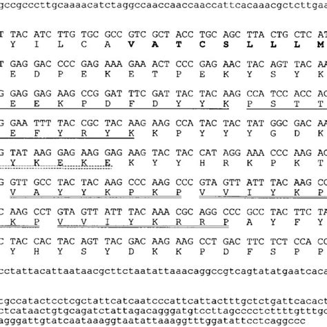 Ani1 Cdna And Deduced Amino Acid Sequence Download Scientific Diagram