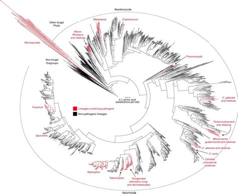 Tyler R Secor Posted On Linkedin