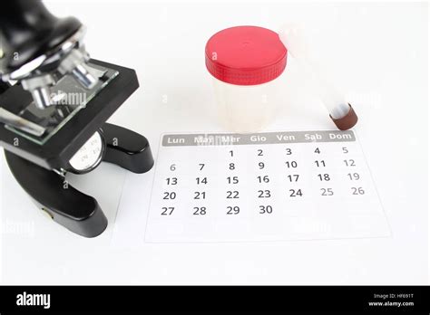 On The Bottom Of An Appointment Calendar In The Laboratory Equipment