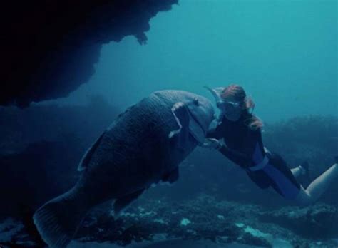 Ariel Donoghue On Tumblr