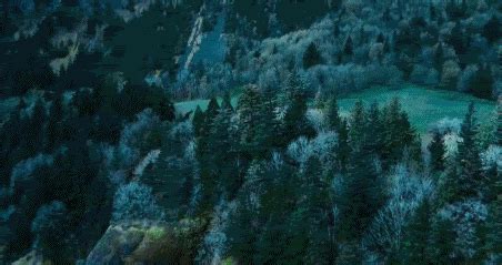 Twilight Movie Mistakes Mytwipixs Blog