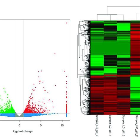 Cluster Analysis Results For Each Difference Grouping Lc Vs Hc