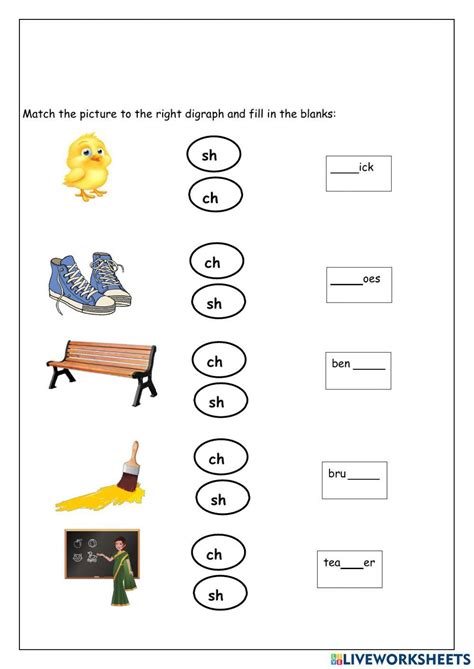 Diagraphs Online Exercise For Live Worksheets