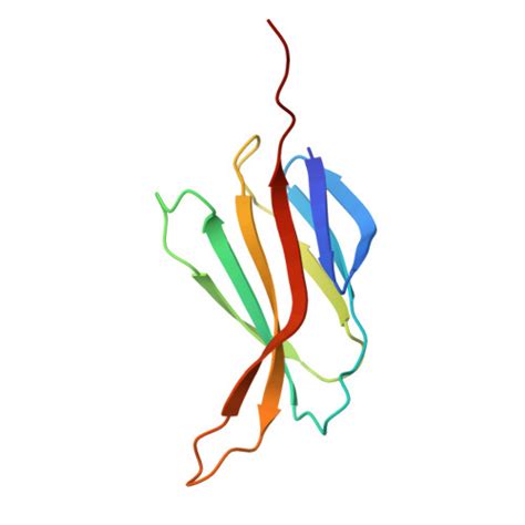Rcsb Pdb 7ypl Crystal Structure Of Fibronectin Type Iii Domain