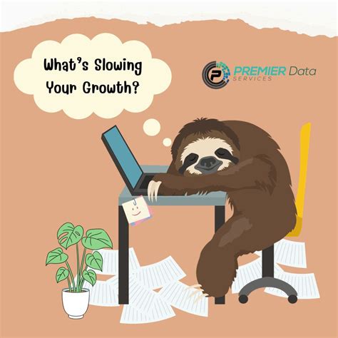 How To Grow Your Business With Premier Data Services Premier Data