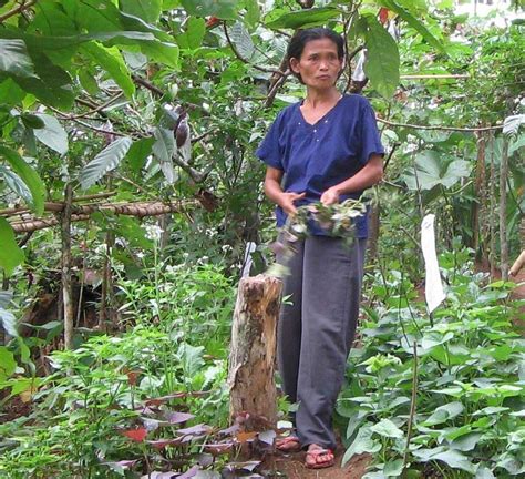 500 Farmers Go Organic Farming Philippines Globalgiving