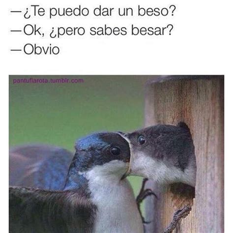 Imagenes De Besos Memes