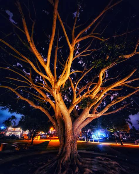 Jonathon G Jonathong738 Twitter