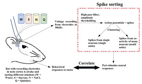 Open Source Electrophysiology In Python