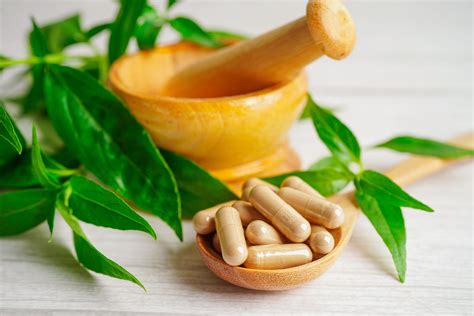 Harness The Benefits Of Halamang Gamot For A Healthier Lifestyle