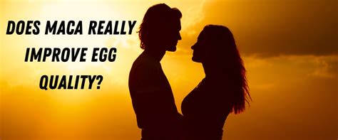 Can Maca Root Increase Size Separating Fact From Fiction