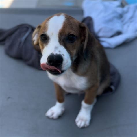 Elijah Mercy Full Project