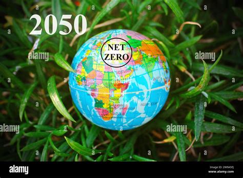 Net Zero 2050 Emissions Icon Concept In Hand For The Environment Policy