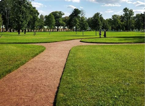 Natural Green Rectangular Garden Lawn Grass At ₹ 5square Feet In Saharanpur Id 2852544369812