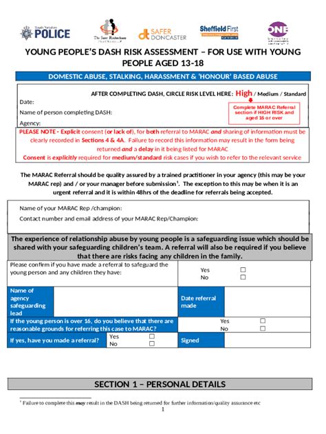 Dash Risk Checklist Young People Sheffielddact Org Doc Template