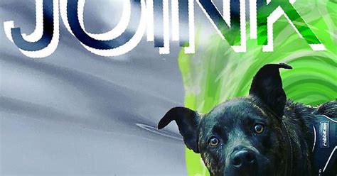 Joink Album On Imgur