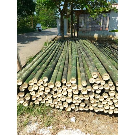 Jual Bambu Untuk Proyek Bambu Murah Bambu Bogor Diameter 8 10