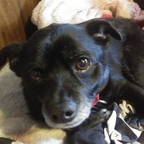 Casey Harrison Youtube