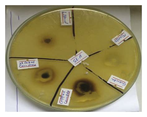 Inhibition Of Escherichia Coli A Bacillus Subtilis B