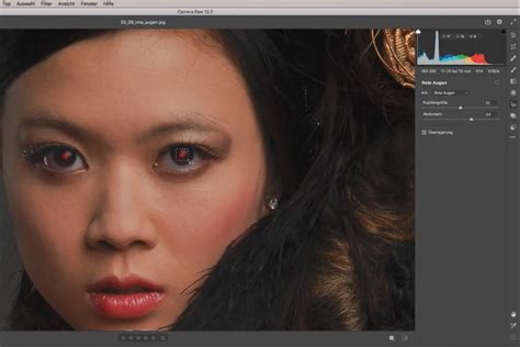 Adobe Camera Raw Video Tutorial On Photo Editing