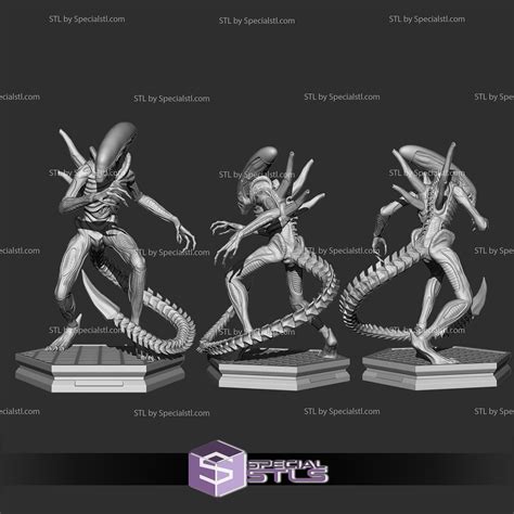 Xenomorph Alien 3d Printer Files Specialstl