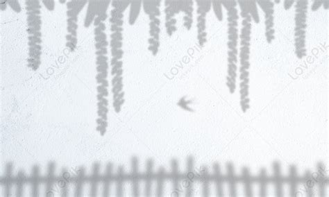 Natural Light And Shadow Background Download Free Banner Background