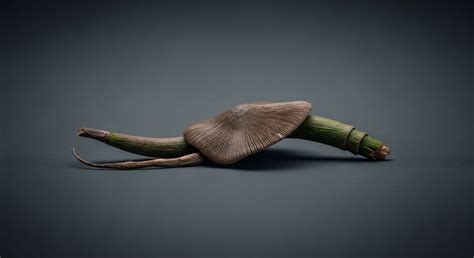 Ecological Interdependence → Term