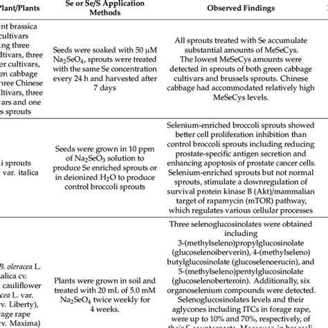 Saad Sulieman Associate Professor Habilitation University Of Khartoum Khartoum