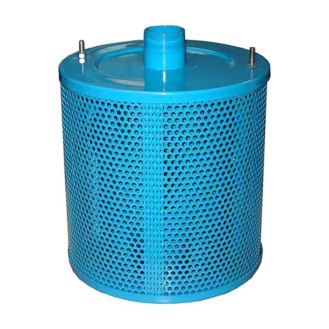 Tcm Algae Queen Pump Filter Siteone Us