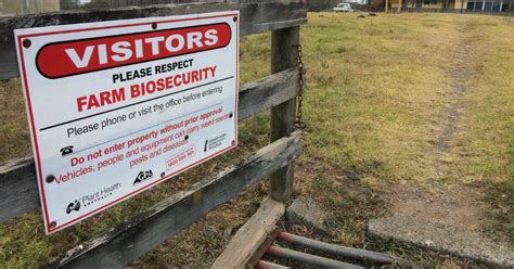 Australias Biosecurity System Faces Critical Review Farm Weekly Wa