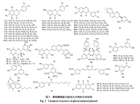 植物天然产物的葡萄糖醛酸苷生物合成的研究进展药物代谢物质
