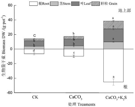 一种修复酸性稻田土壤镉砷复合污染的方法
