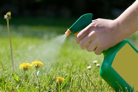 33 Facts About Herbicides