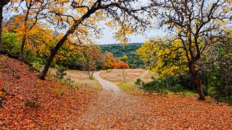 The Best National And State Parks In Texas For Your Next Adventure