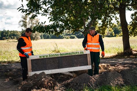 Baumschutzmaßnahmen Auf Baustellen