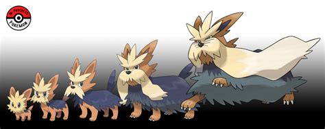 In Progress Pokemon Evolutions Lillipup Are Brave Pokemon Whose