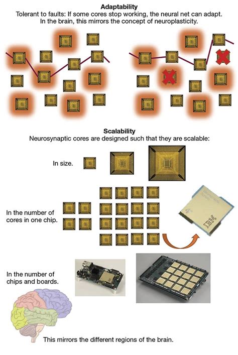 Neuromorphic Processing Set To Propel Growth In Ai Features Spring 2021 Photonics Spectra