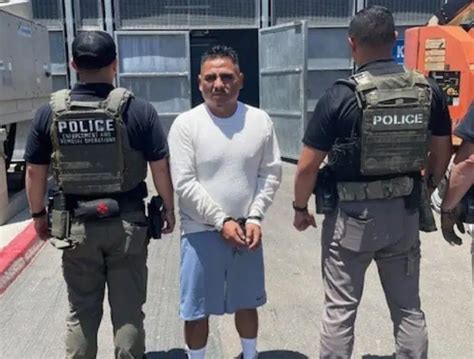 California Ice Agents Remove Mexican National Fugitive Tampa Free Press