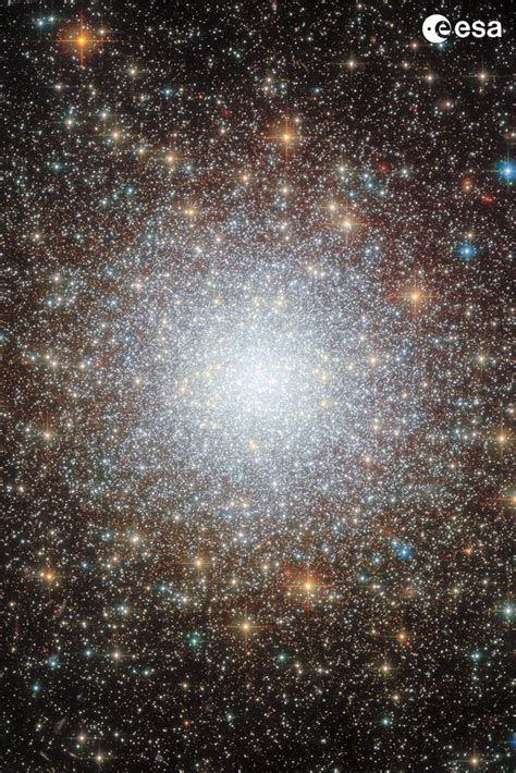 Globular Cluster In The Large Magellanic Cloud