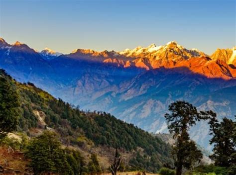 Munsiyari Your Gateway To Himalayan Wonders A Complete Guide Xplro