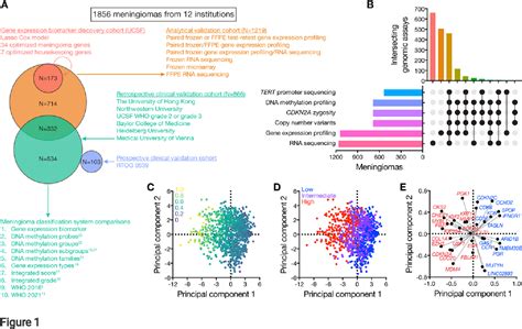 Figure 1 From Targeted Gene Expression Profiling Predicts Meningioma Outcomes And Radiotherapy