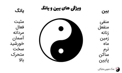 یین و یانگ در روانشناسی