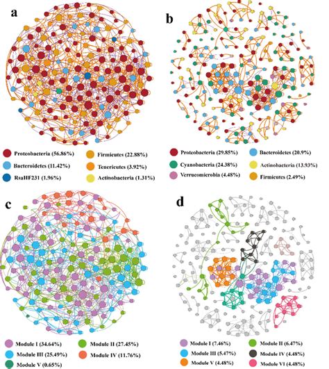 Spearmans Correlation Based Network Analysis Of Frequent Asvs Download Scientific Diagram