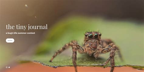 Content — The Tiny Journal