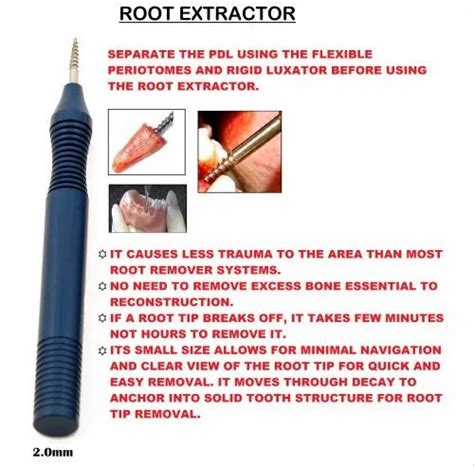 Stainless Steel Root Extractor Handle For Clinical At ₹ 2000unit In