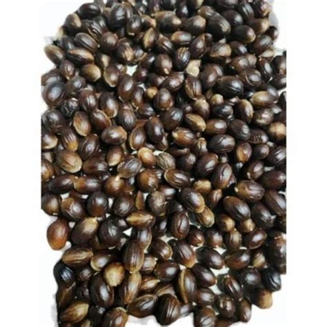 Whole Nutmeg Shell At Rs 300kg Nutmeg In Ernakulam Id 2852840210388