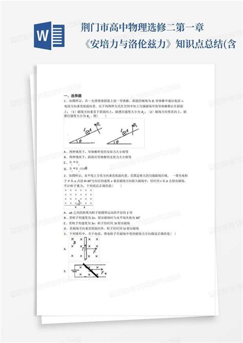 荆门市高中物理选修二第一章《安培力与洛伦兹力》知识点总结 含word模板下载 编号lxymerzx 熊猫办公