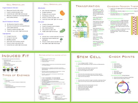 As Biology Booklets For Ocr Teaching Resources