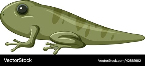 Tadpole With Legs Drawing